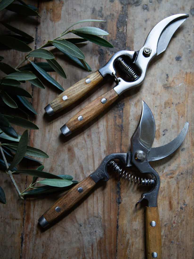 Secateurs – The Evandale Village Store